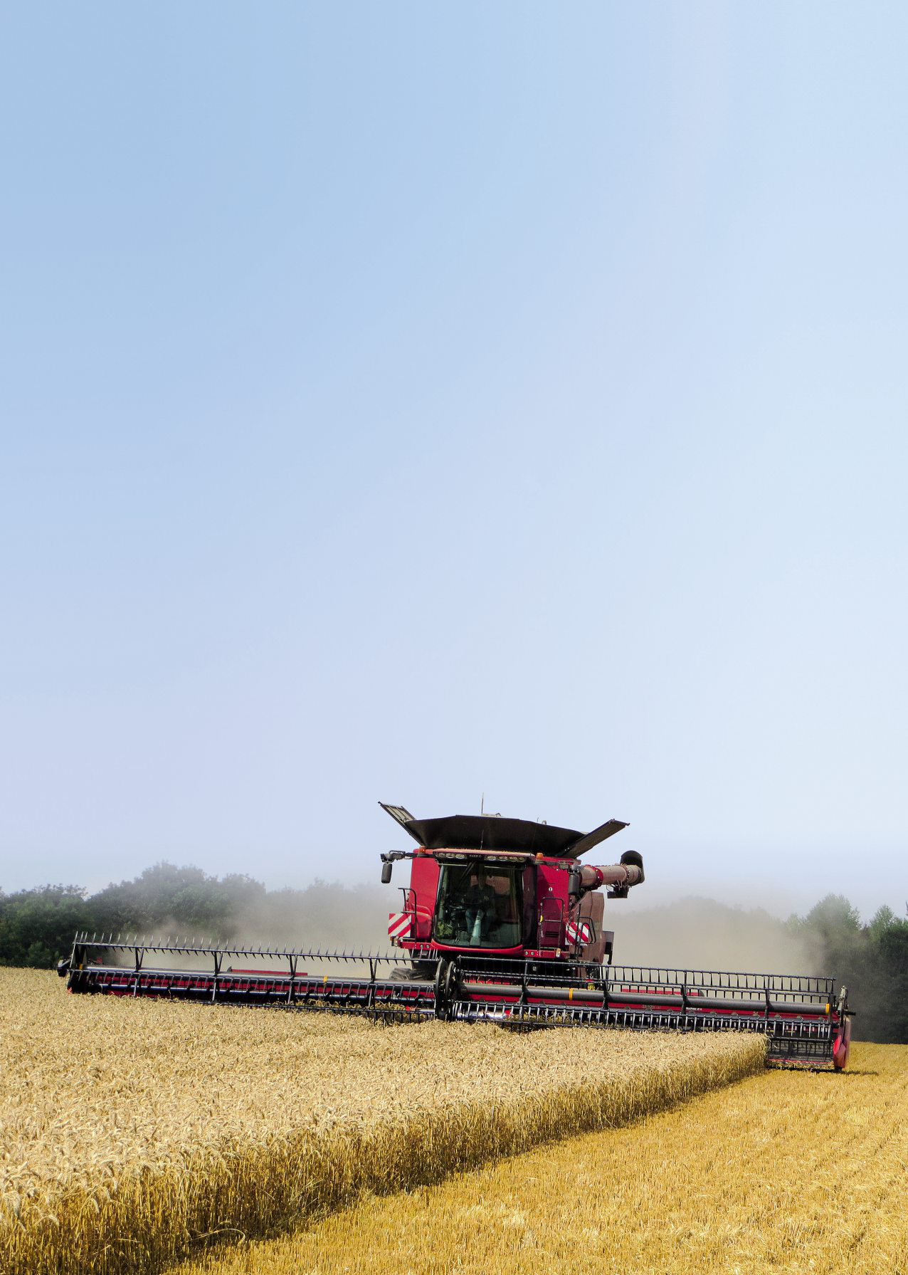 Case IH draper header: - Profi