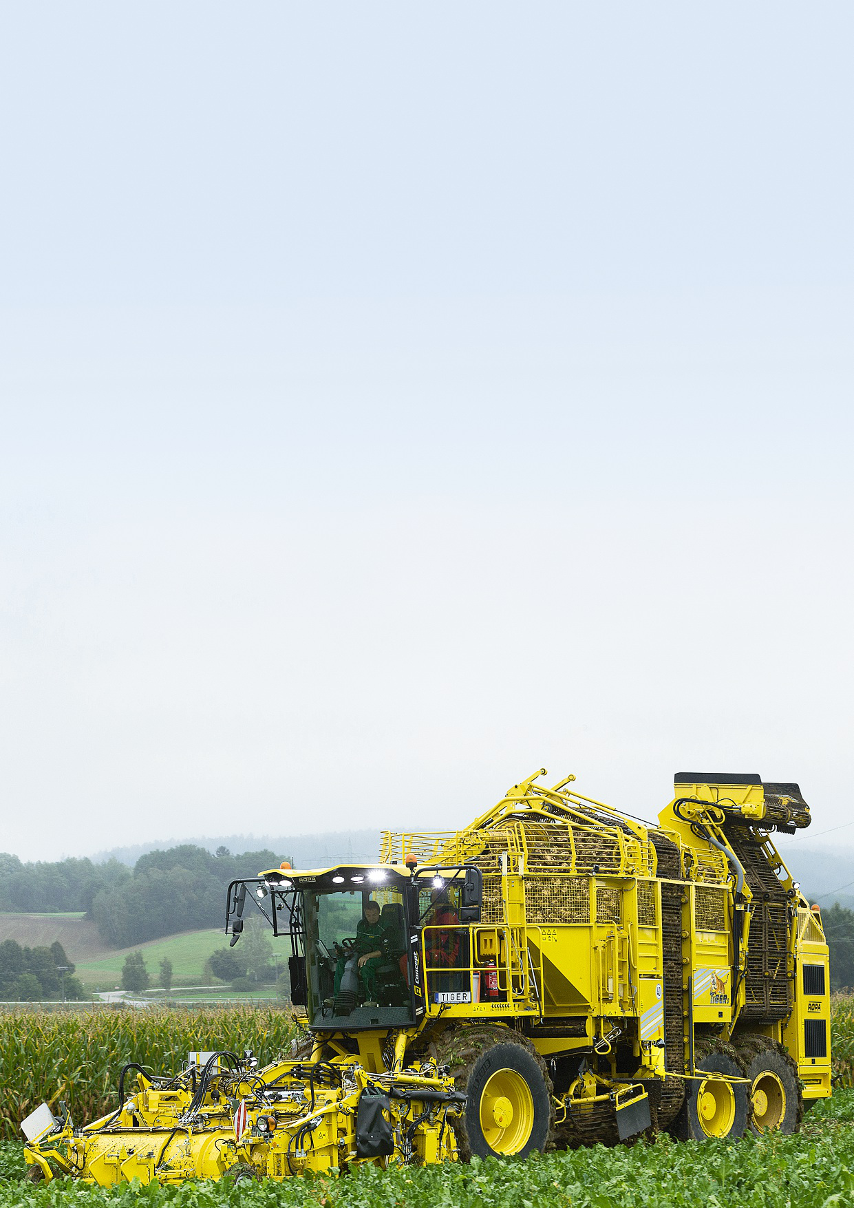 Ropa Tiger 5 beet harvester - Profi