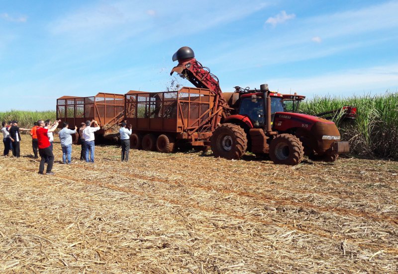 Sweet tour of Brazil’s sugar cane sector - Profi