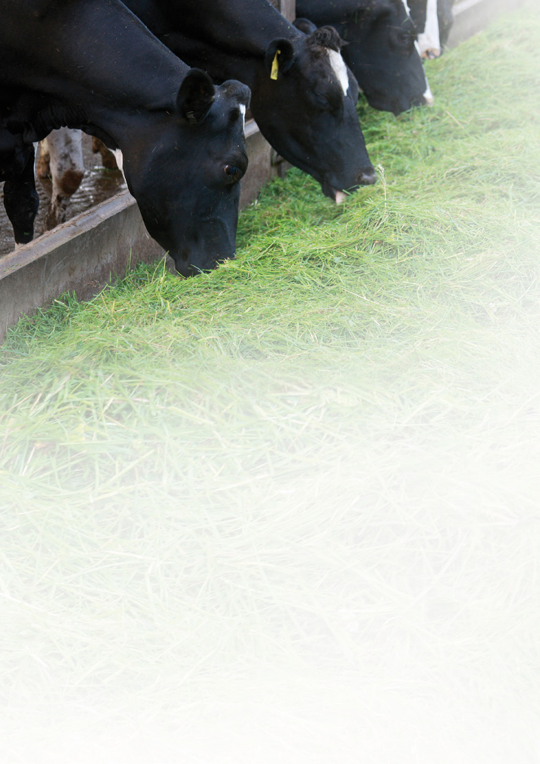 Zero grazing - Profi