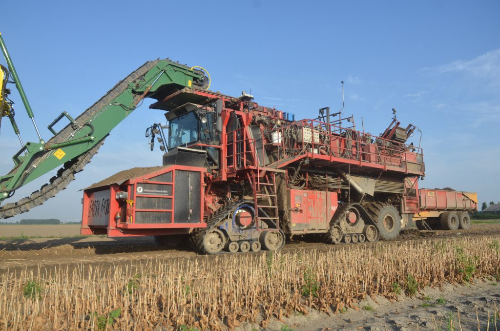 Dutch bulb harvesting: - Profi