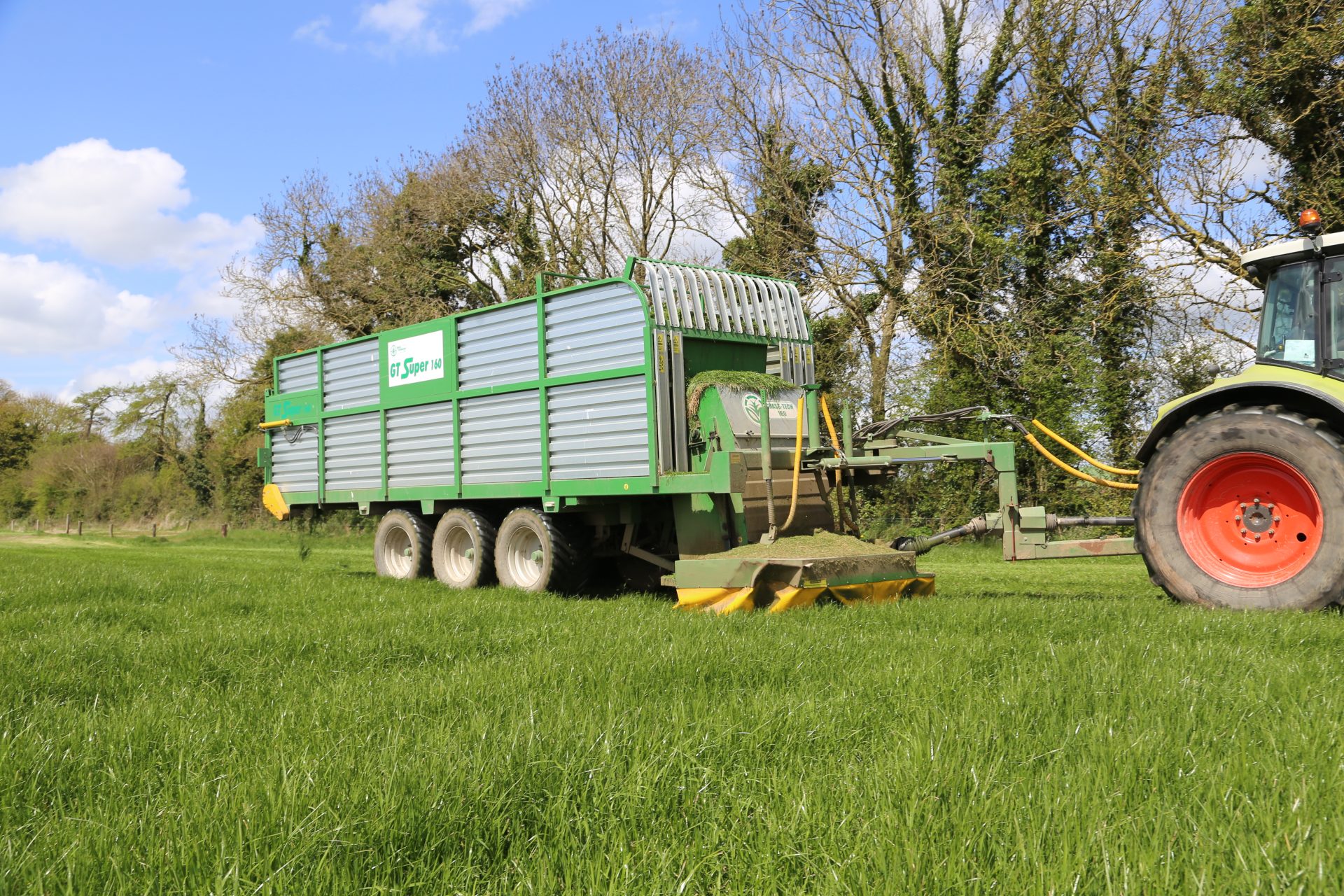 Zero-grazing to boost milk yields - Profi