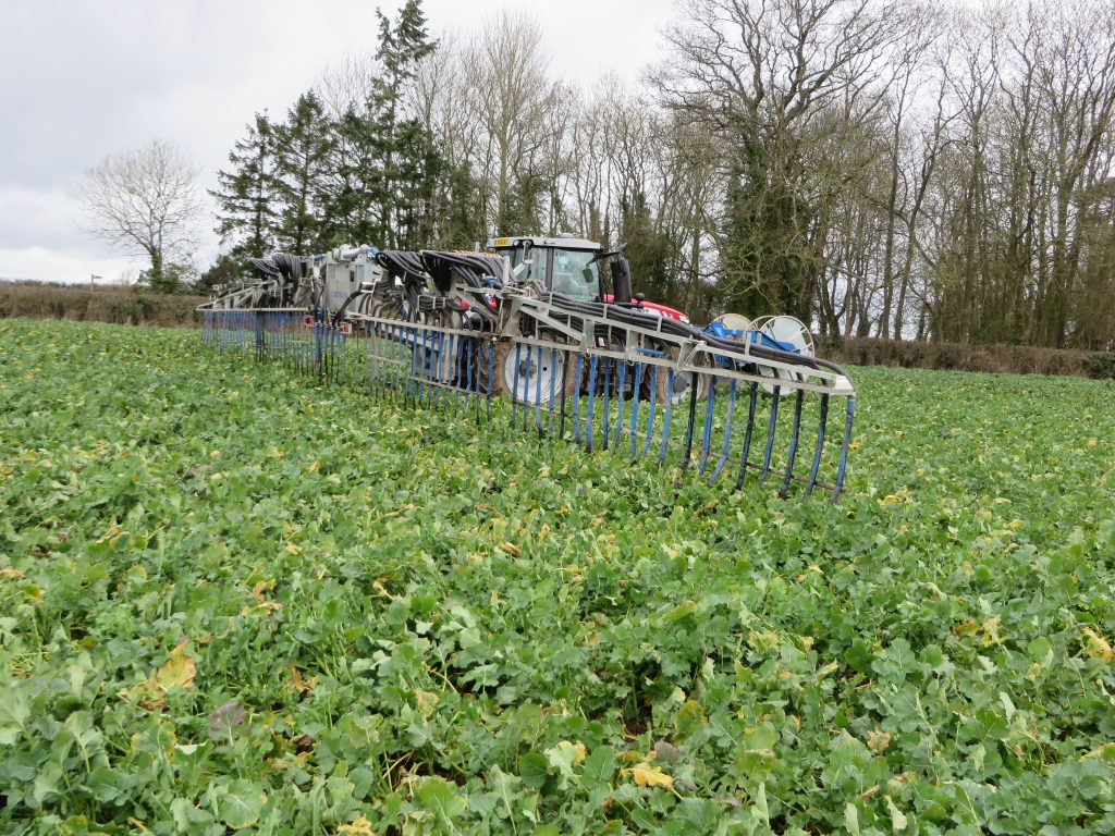Making the most of digestate - Profi