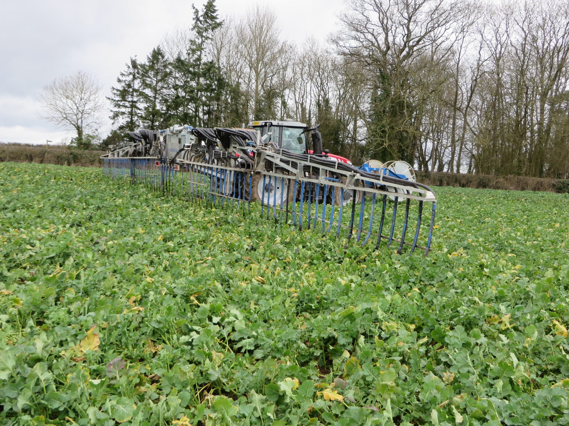 Making the most of digestate - Profi