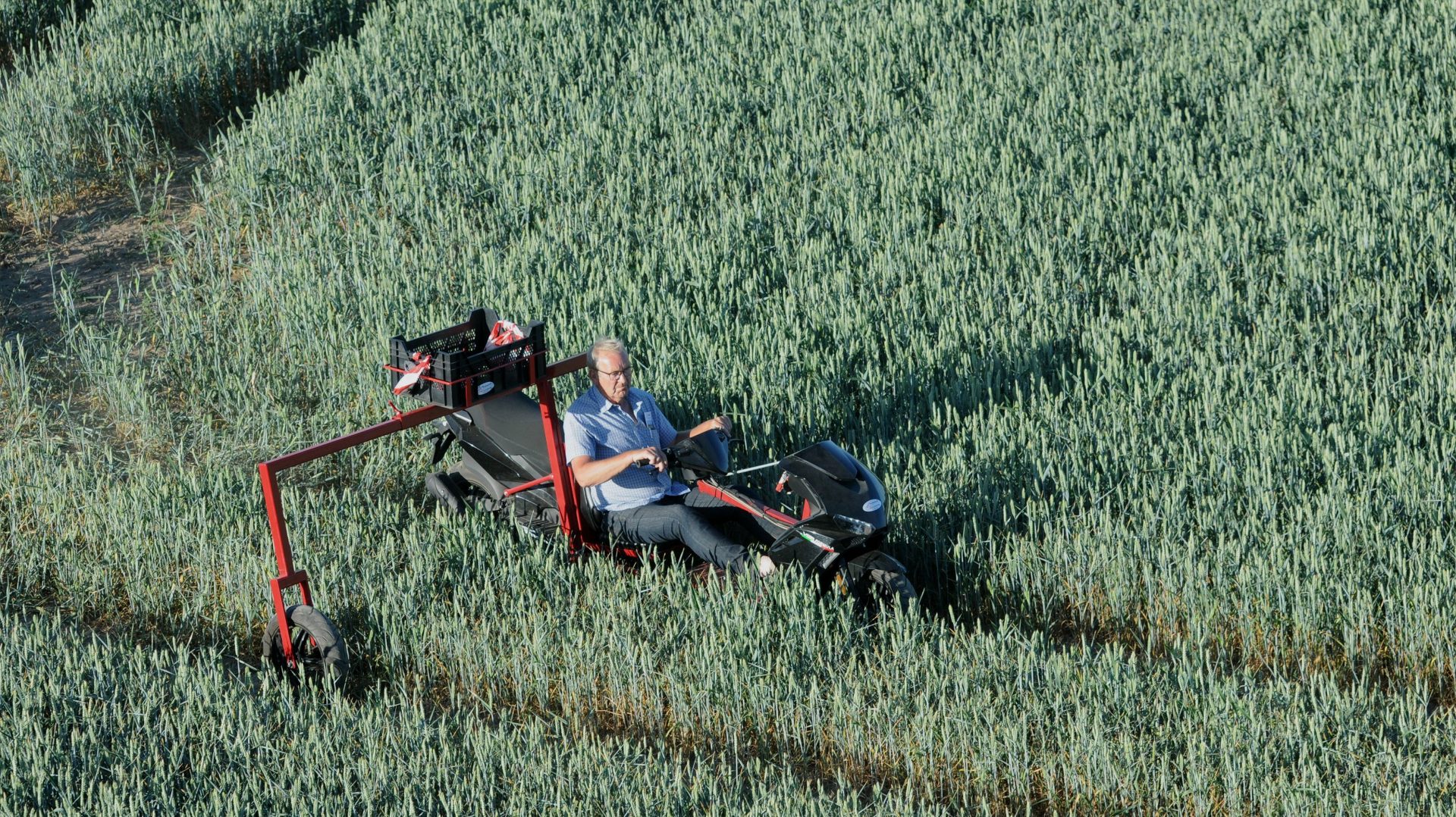 Field scooter for wild oat/black grass rouging - Profi