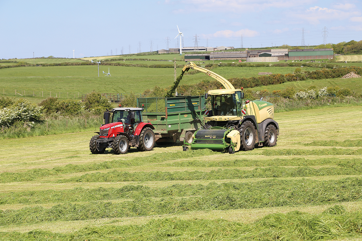 Forage choices: Foraging harmony - Profi