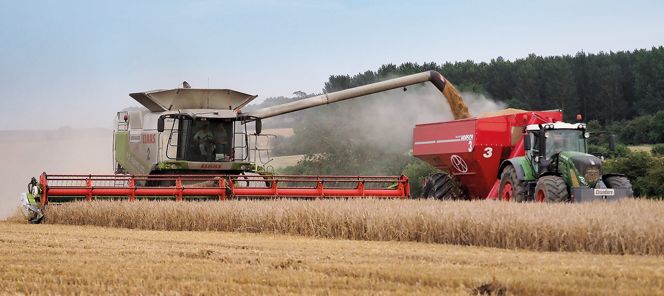 PX Farms, Cambridgeshire: Soil focus pays - Profi