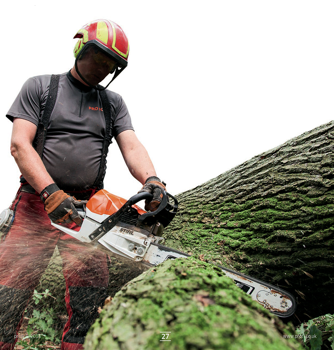 Stihl MS 462 C-M chainsaw: One saw does it all? - Profi