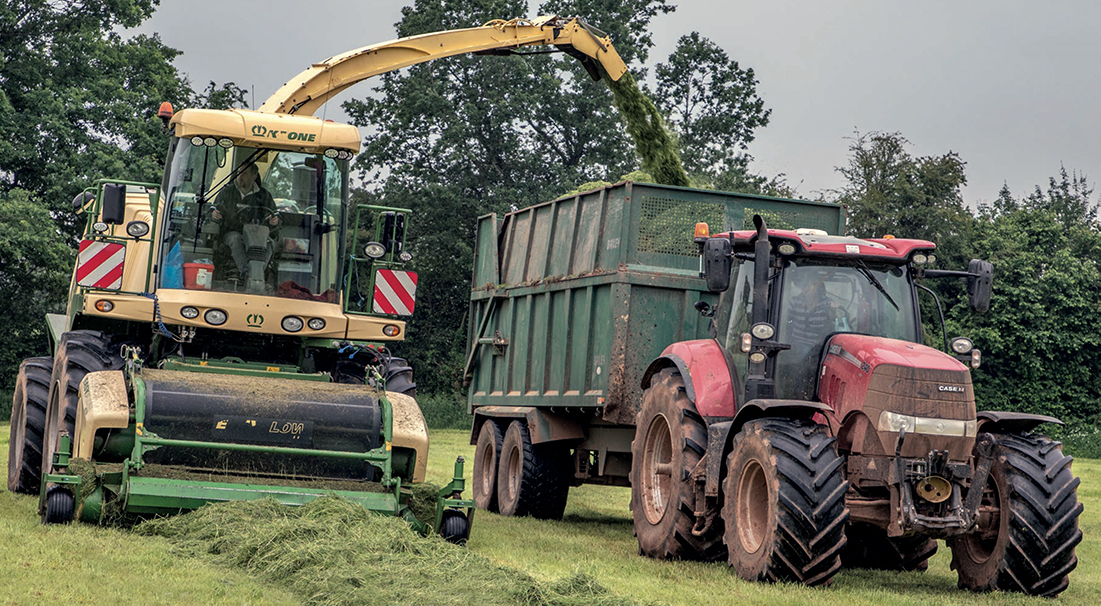 Chasing high quality forage: A focus on quality control - Profi