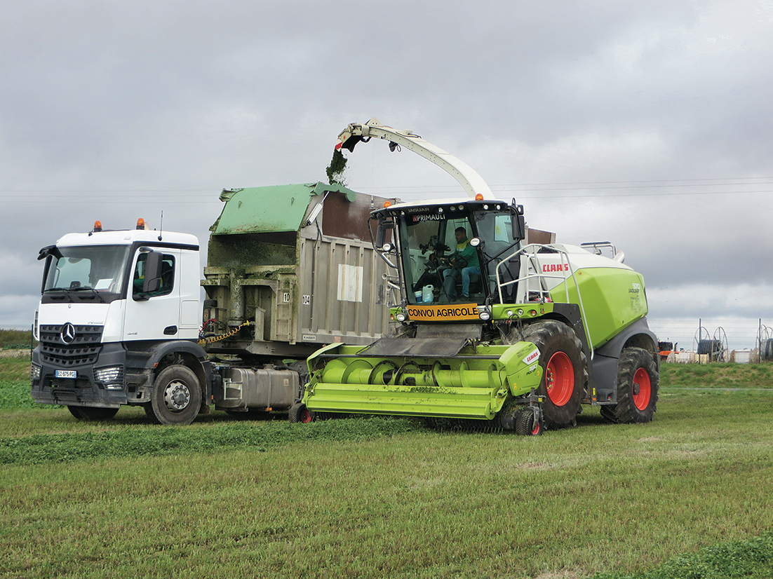 Growing lucerne in France: Bright future for green forage - Profi