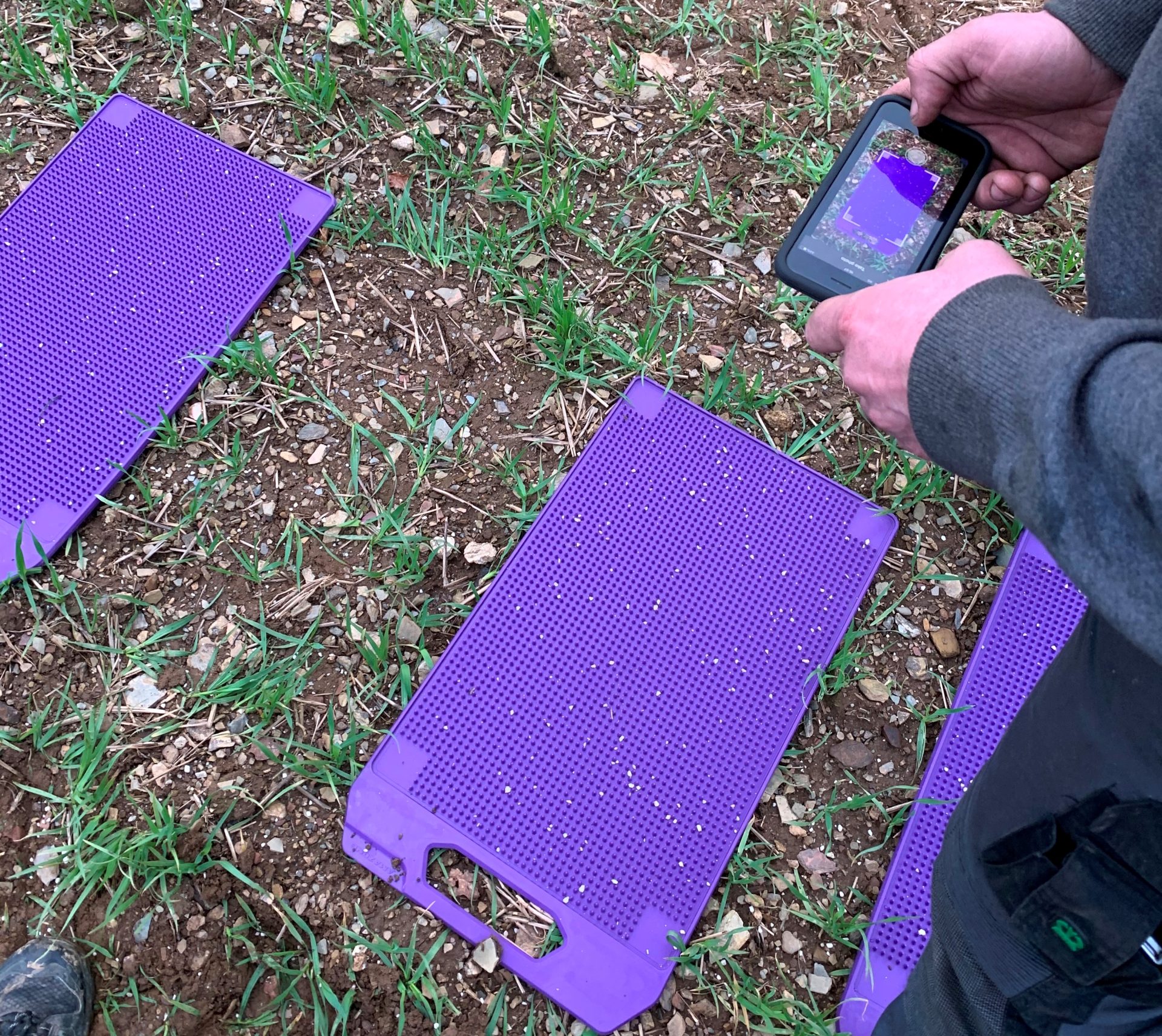 Amazone calibration - mats not boxes - Profi