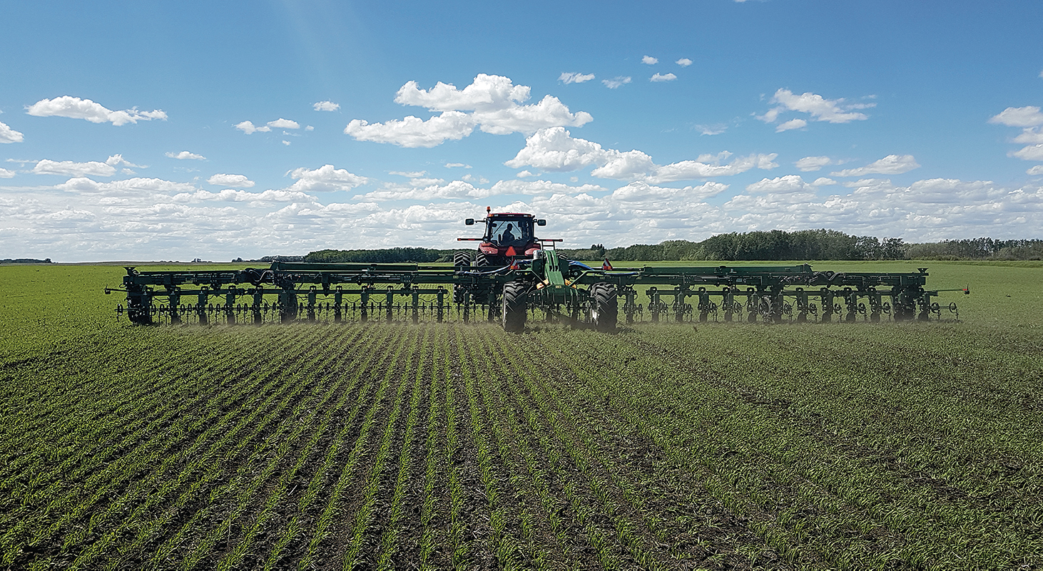 Mechanical weeding: Weeding out control choices - Profi