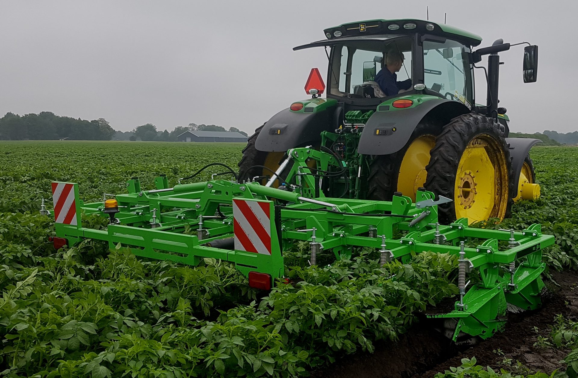 Wider AVR ridgers for mechanical weeding - Profi