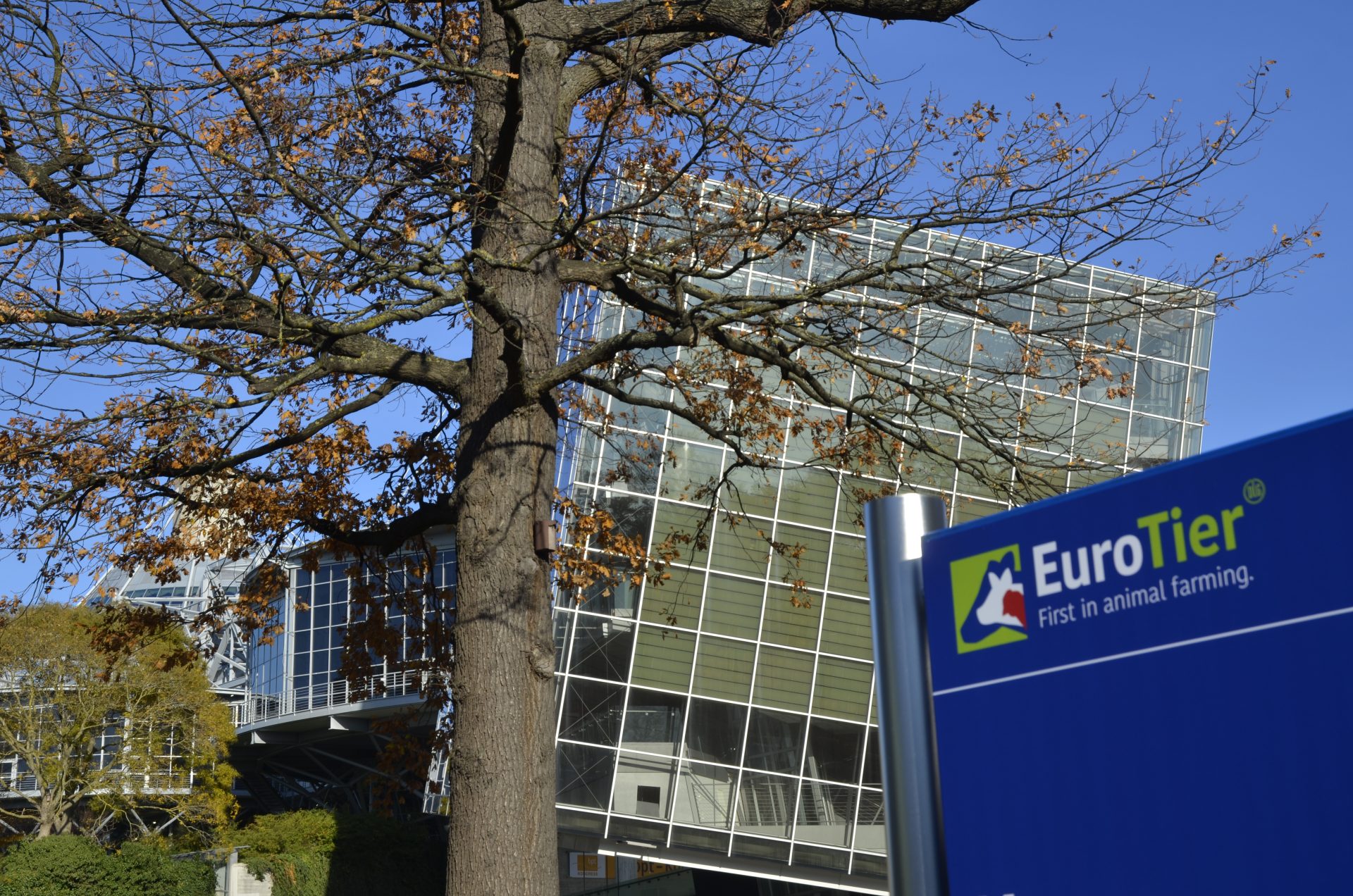 EuroTier moves from physical to digital format - Profi