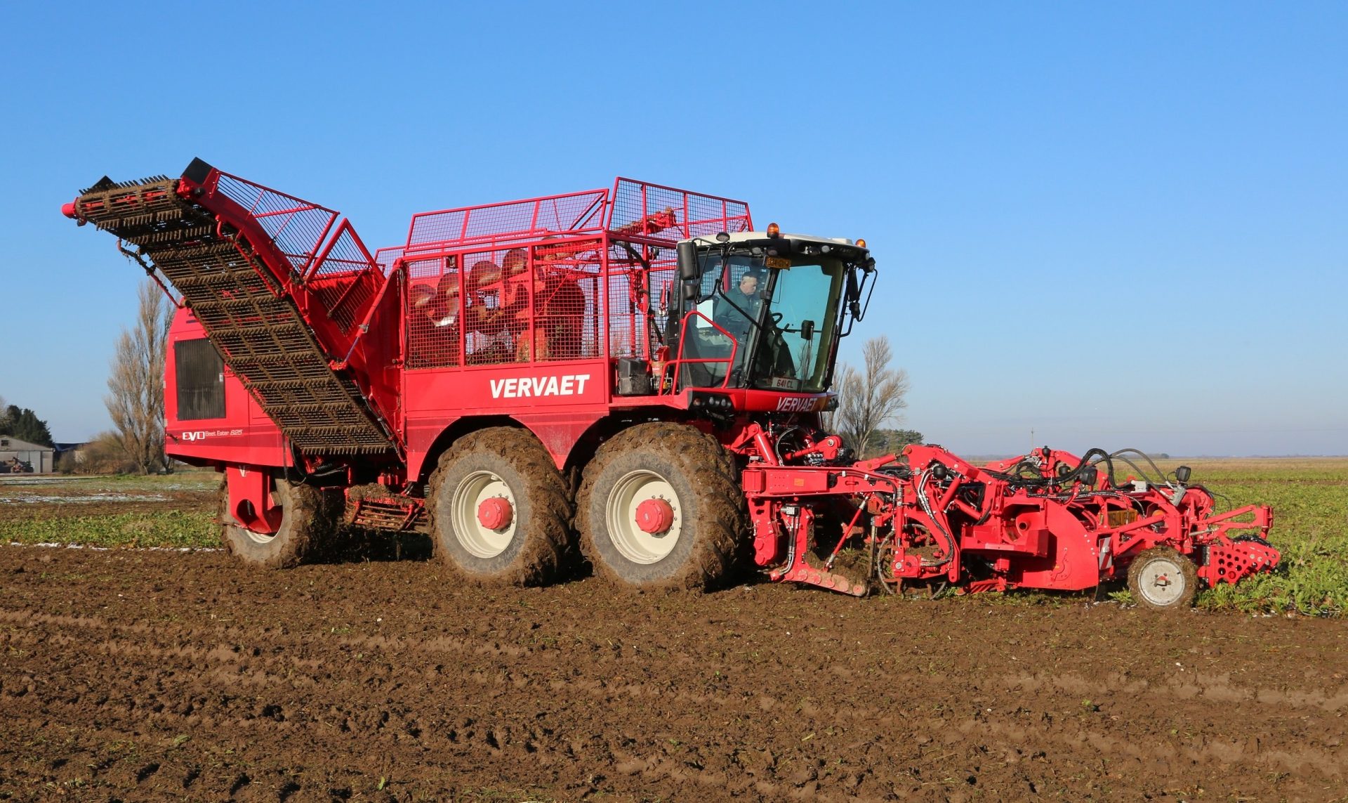 Rollerbed option for the Beet Eater - Profi