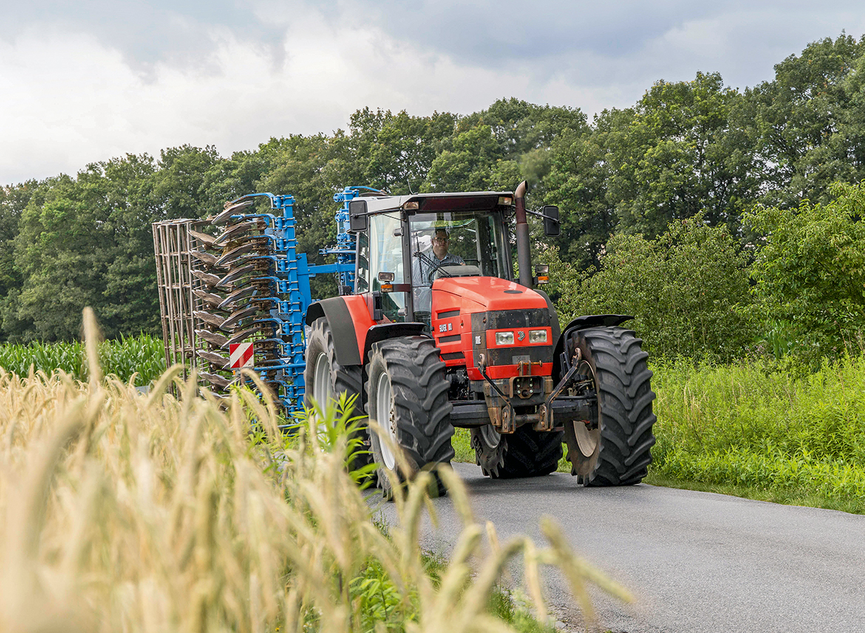 SAME Silver 180: A rare silver tiger - Profi