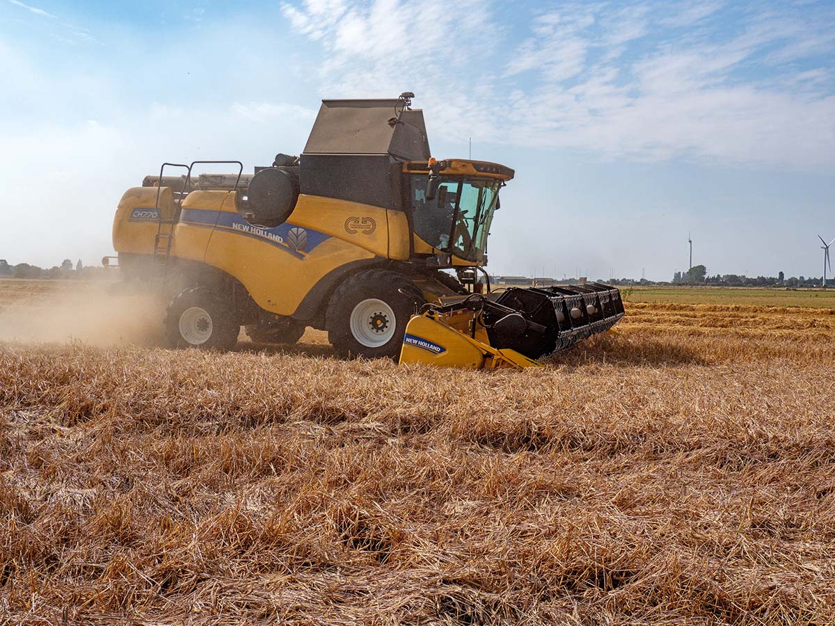 New Holland CH7.70 combine: Walkers to rotors - Profi
