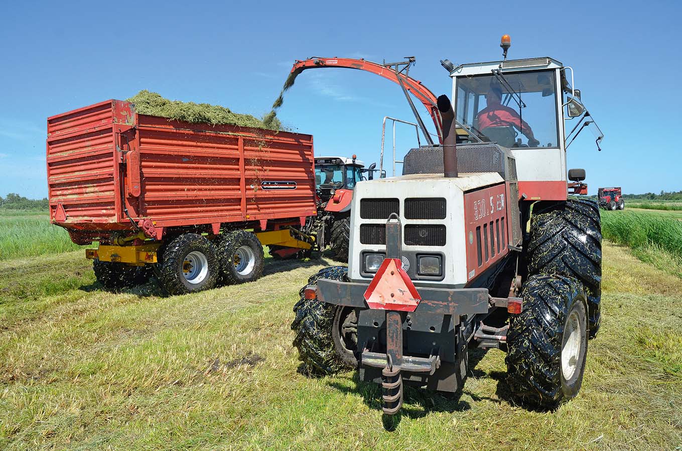 Steyr 8300 still earning its keep: Classic chopper - Profi