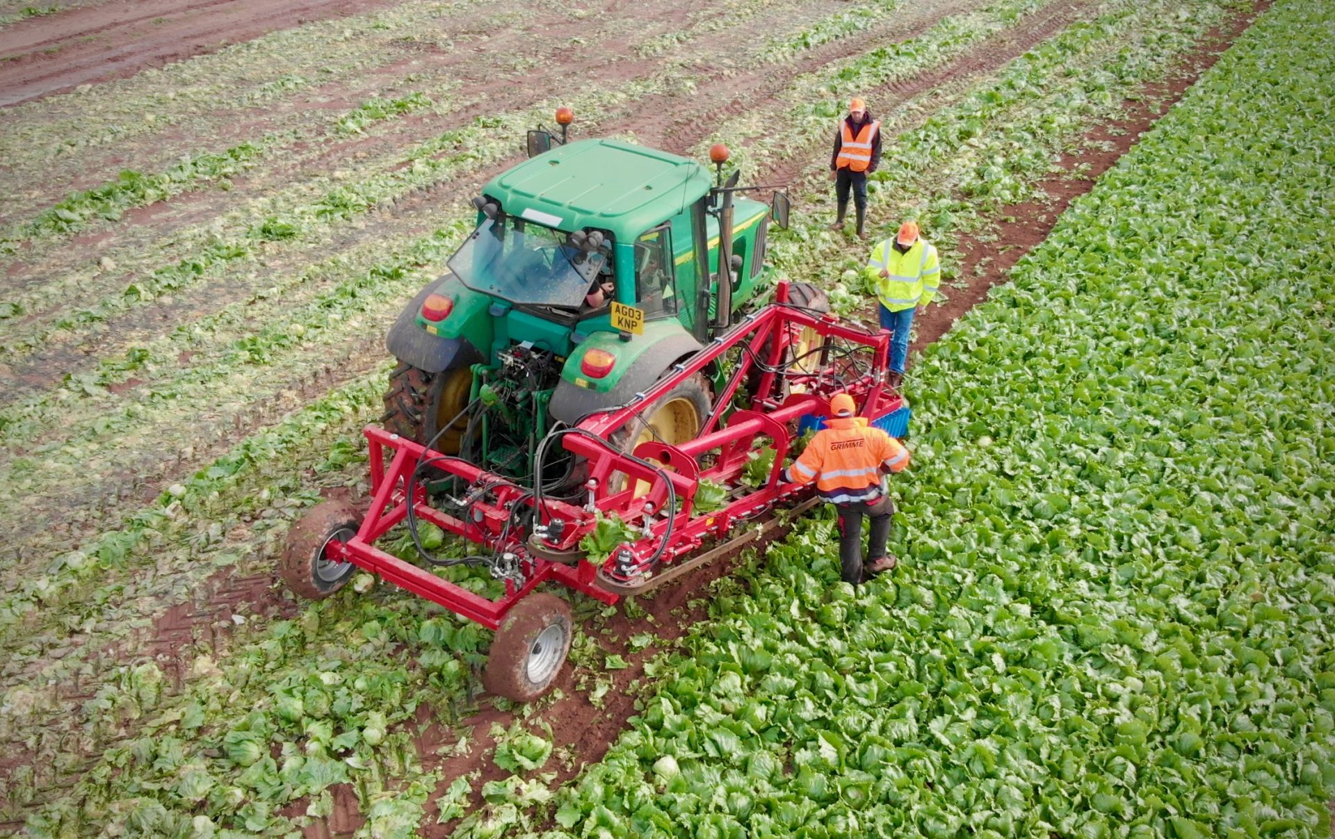 Lettuce harvesting robot - Profi