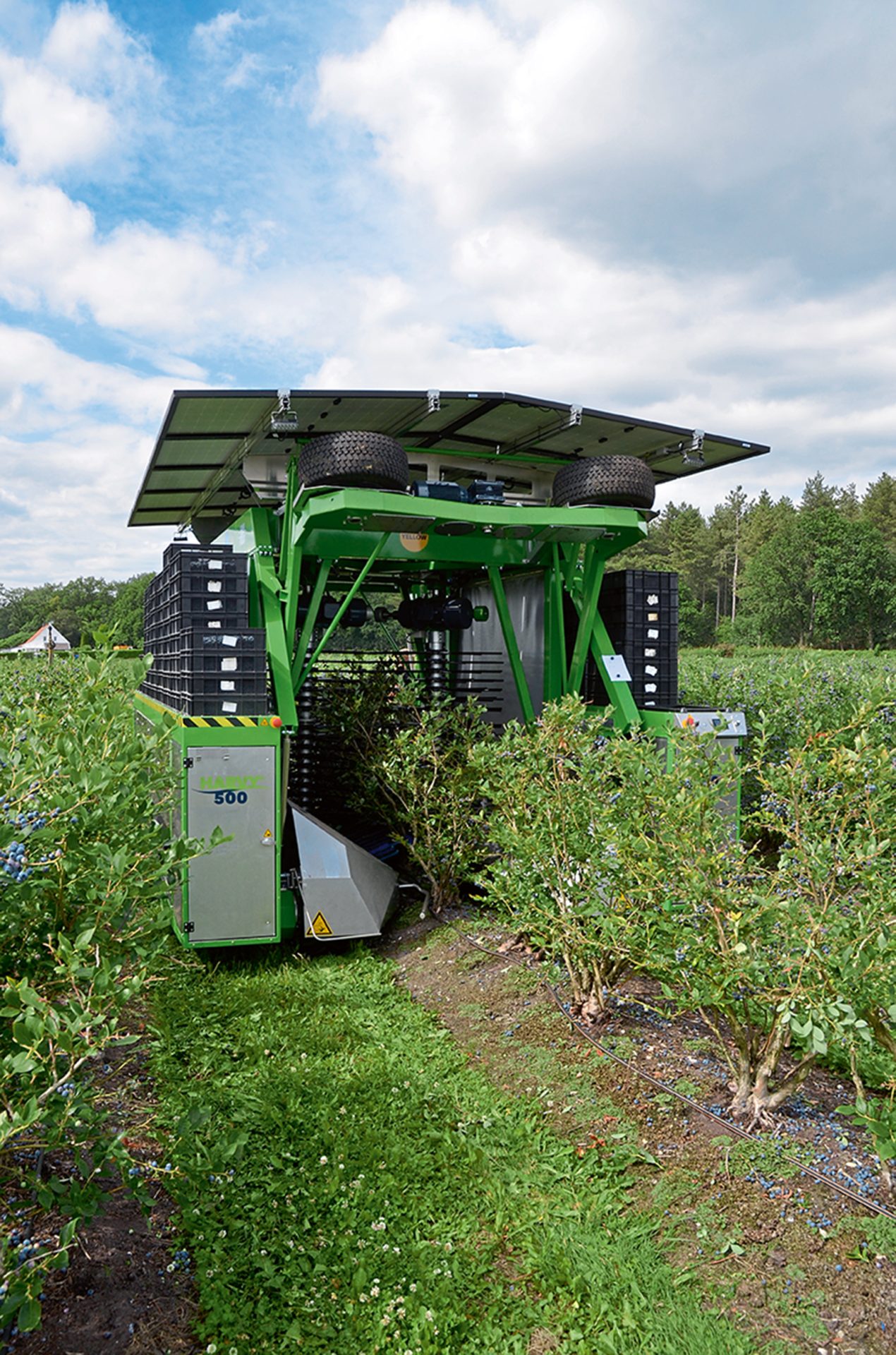 FineField Innovative Agri Systems Harvy500 blueberry harvester ...