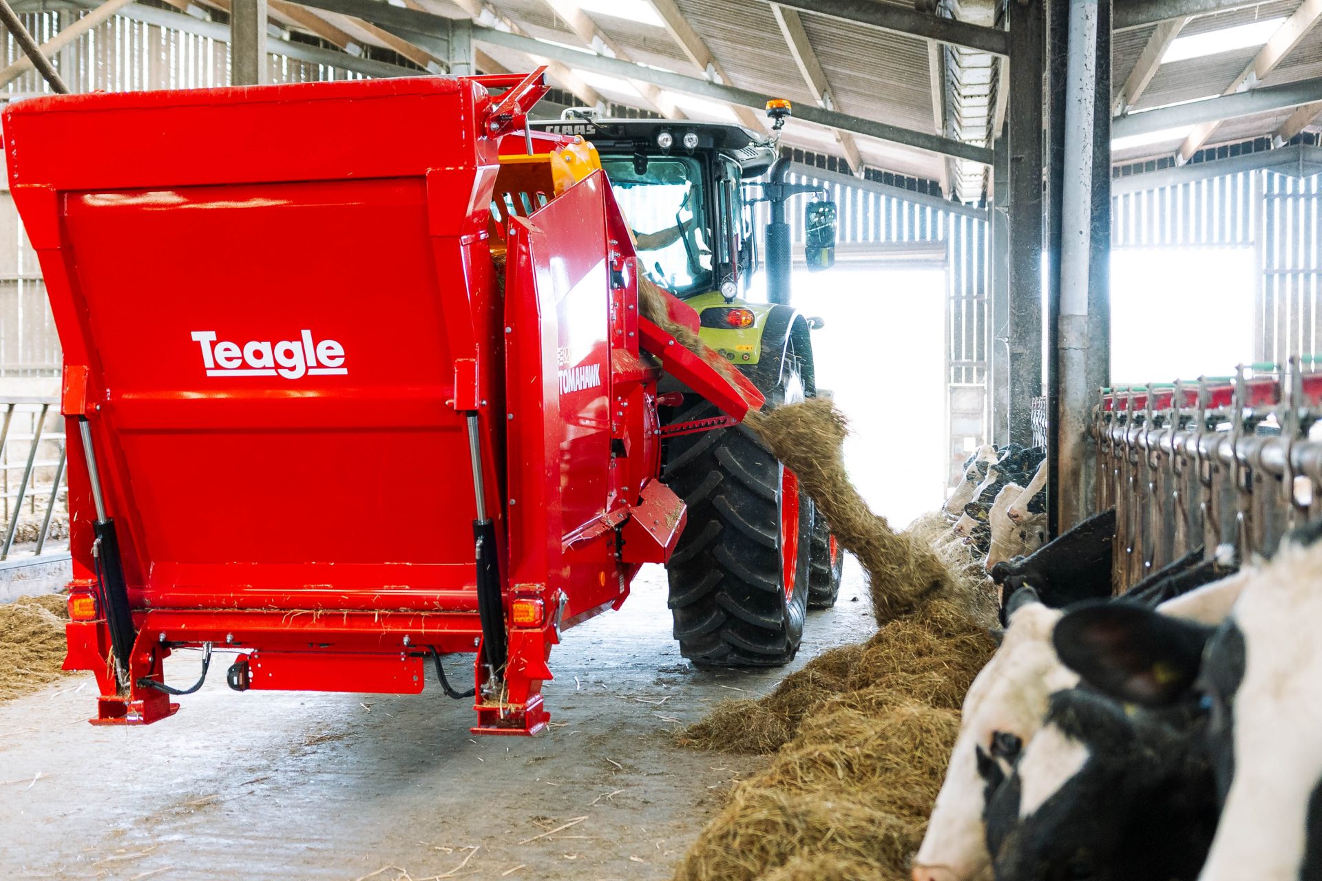 Next gen Teagle Tomahawk at Lamma - Profi