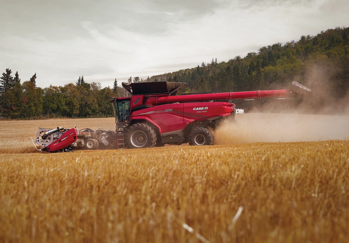 Case IH goes big with AF11 combine - Profi