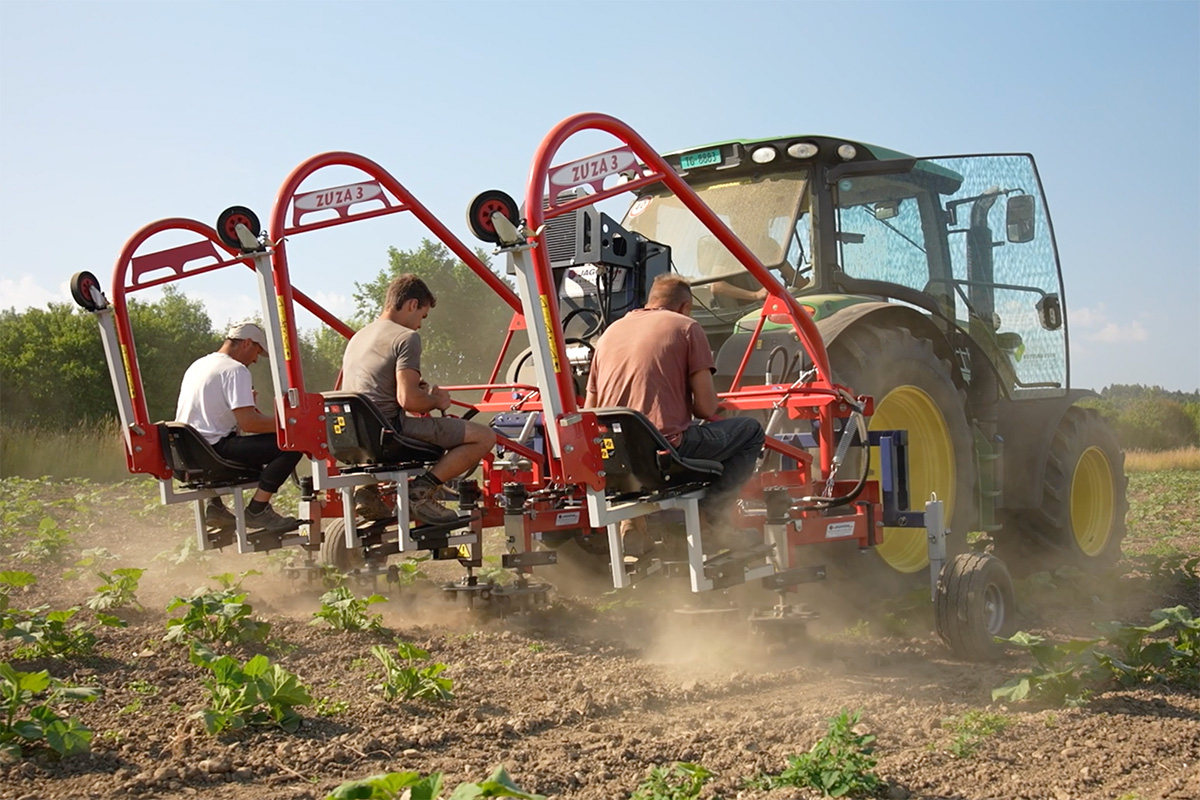 Jagoda Zusa 3 In-Row hoeing device | Profi Video - Profi