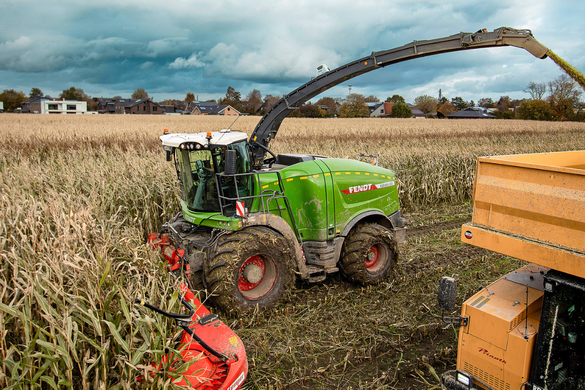Fendt Katana 850 forage harvester: An endurance test - Profi
