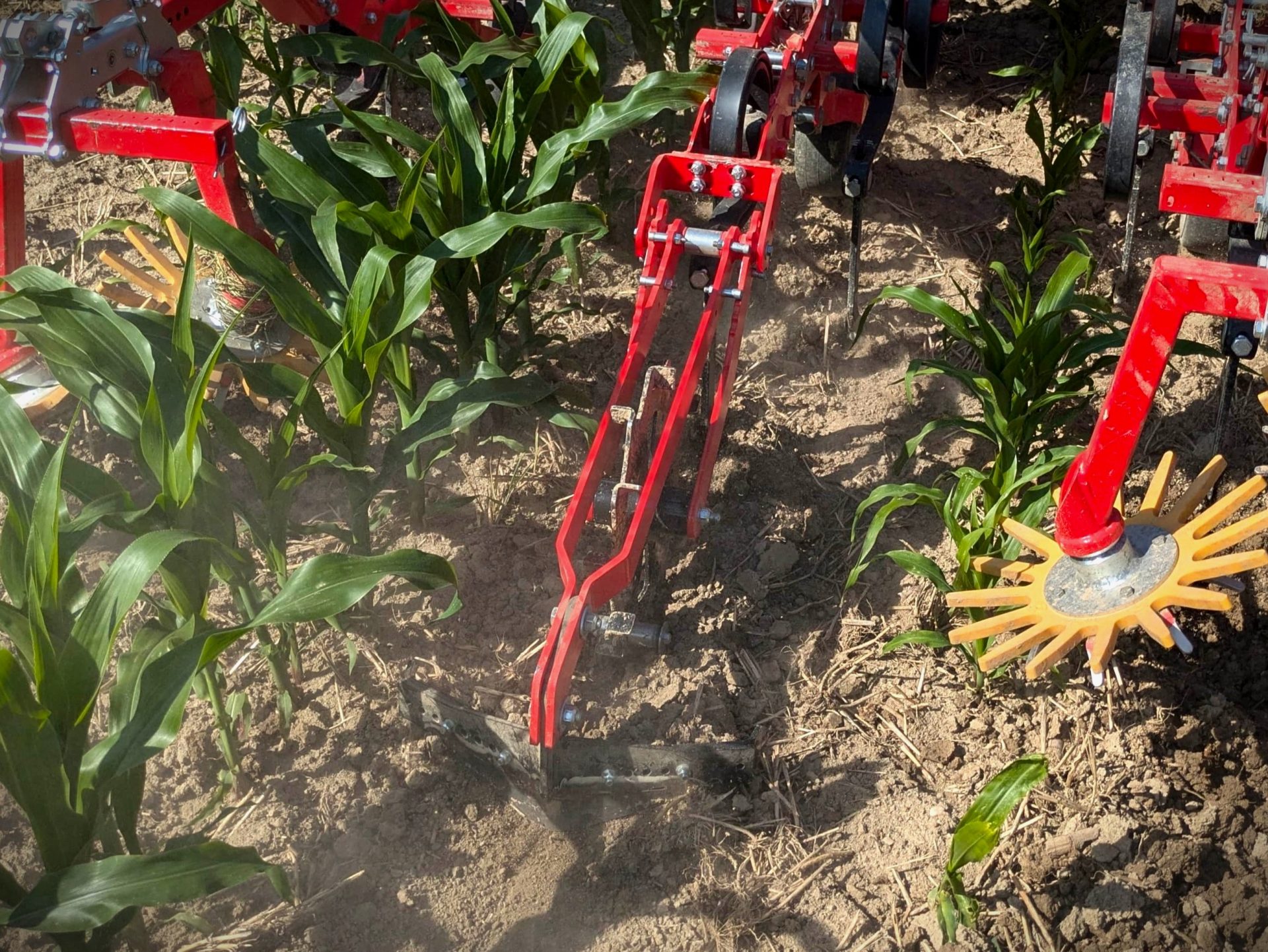 Einböck hoe tool to reduce soil erosion - Profi