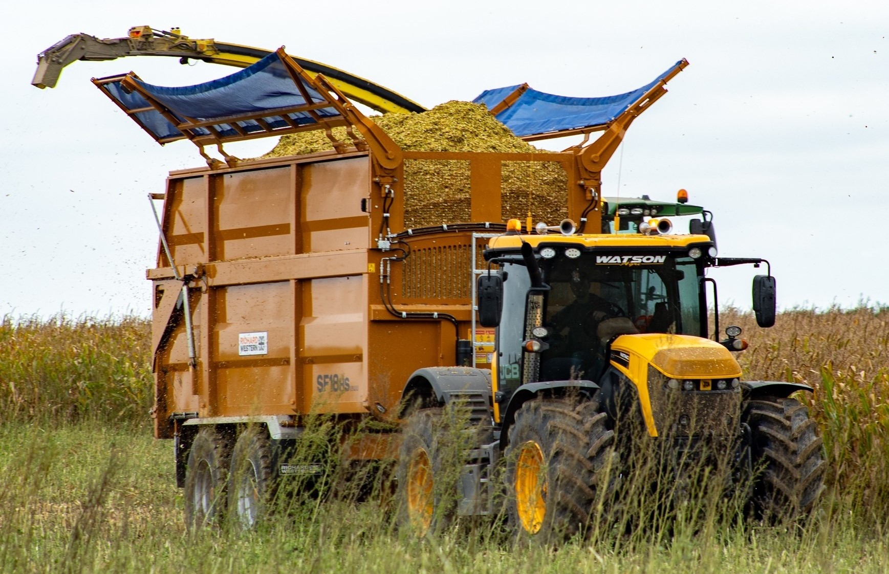 Richard Western Suffolk silage trailer - Profi