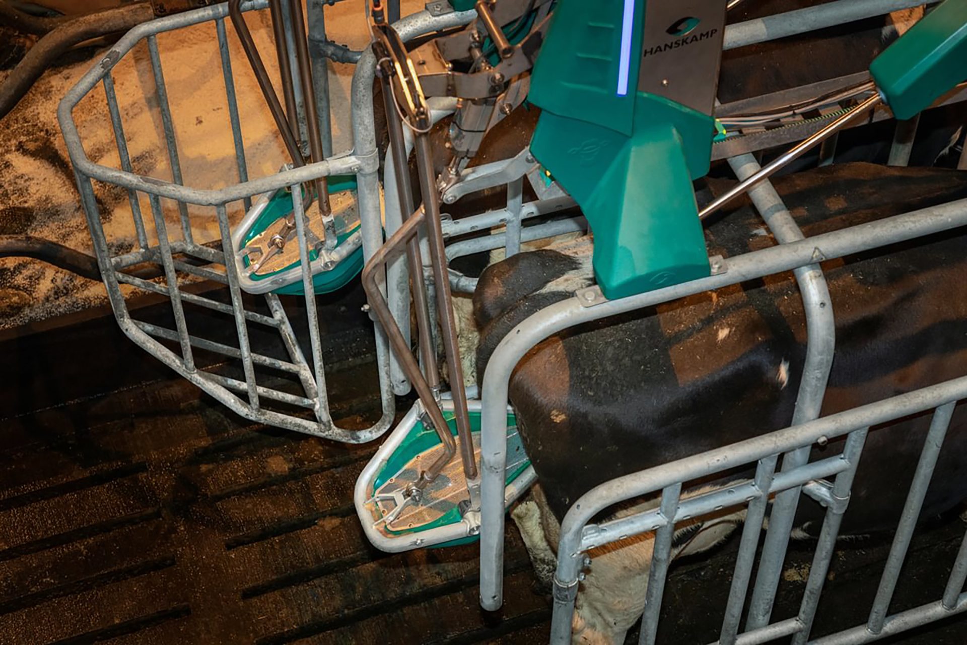 CowToilet launch at LAMMA - Profi