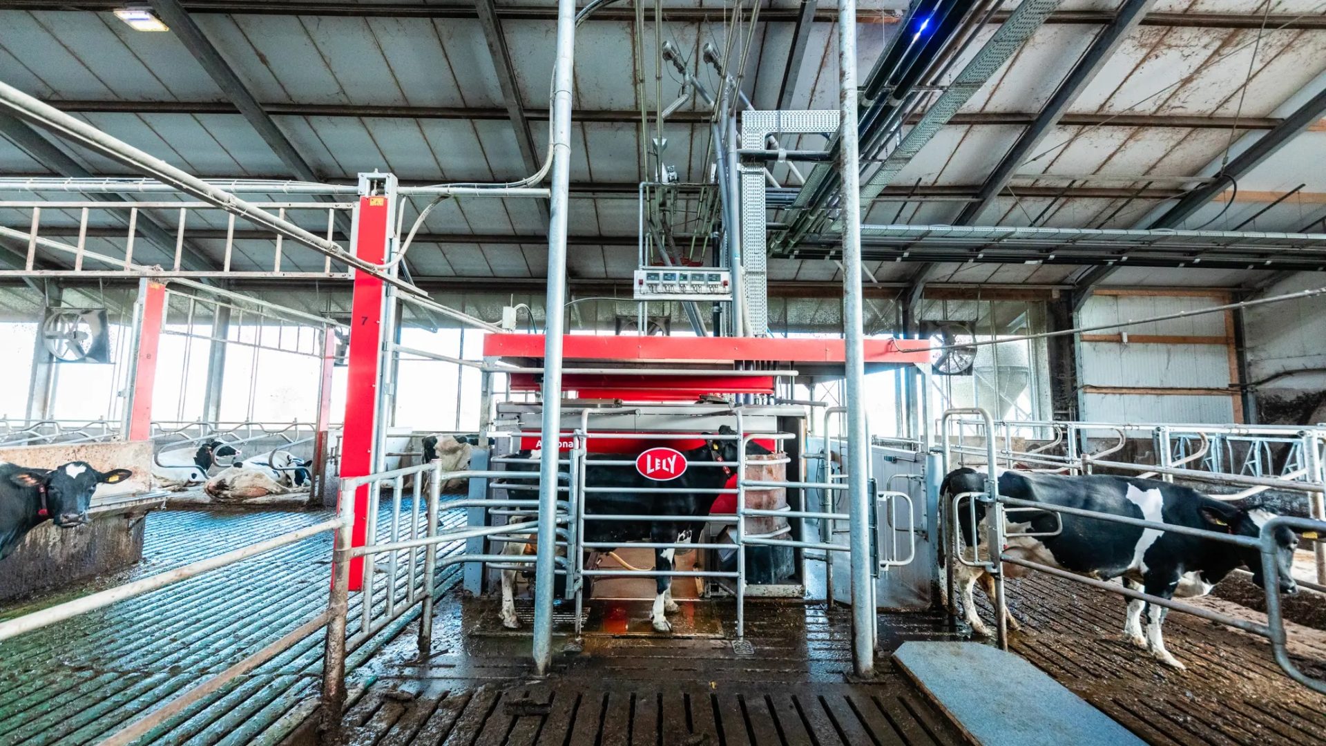 Lely revenue tops one billion Euros - Profi