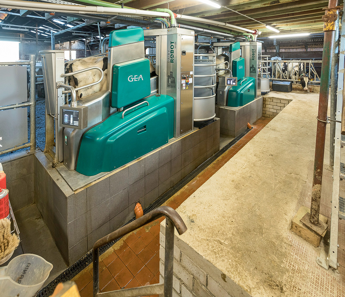 Gea DairyRobot R9500 Edition 2021: Details with a big impact - Profi